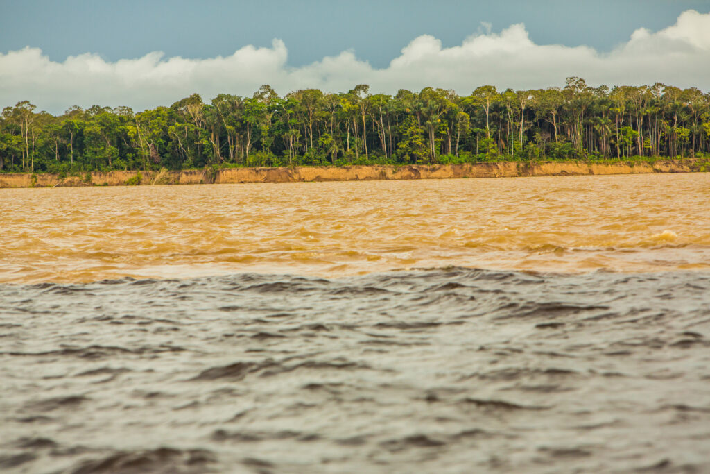 Coisas impressionantes sobre o nosso grande Rio Amazonas que você vai ...